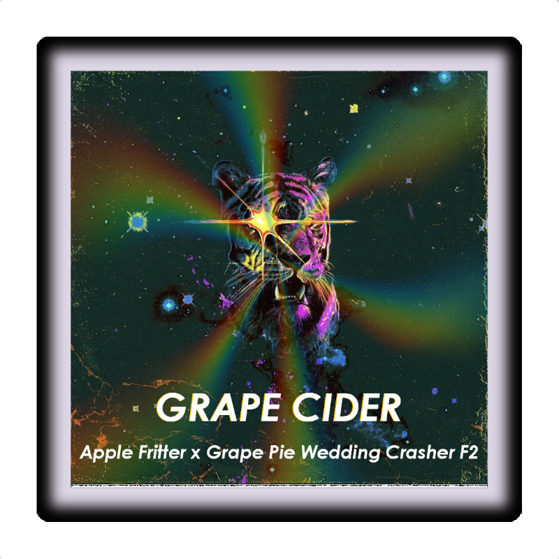 Grape Cider – TGR